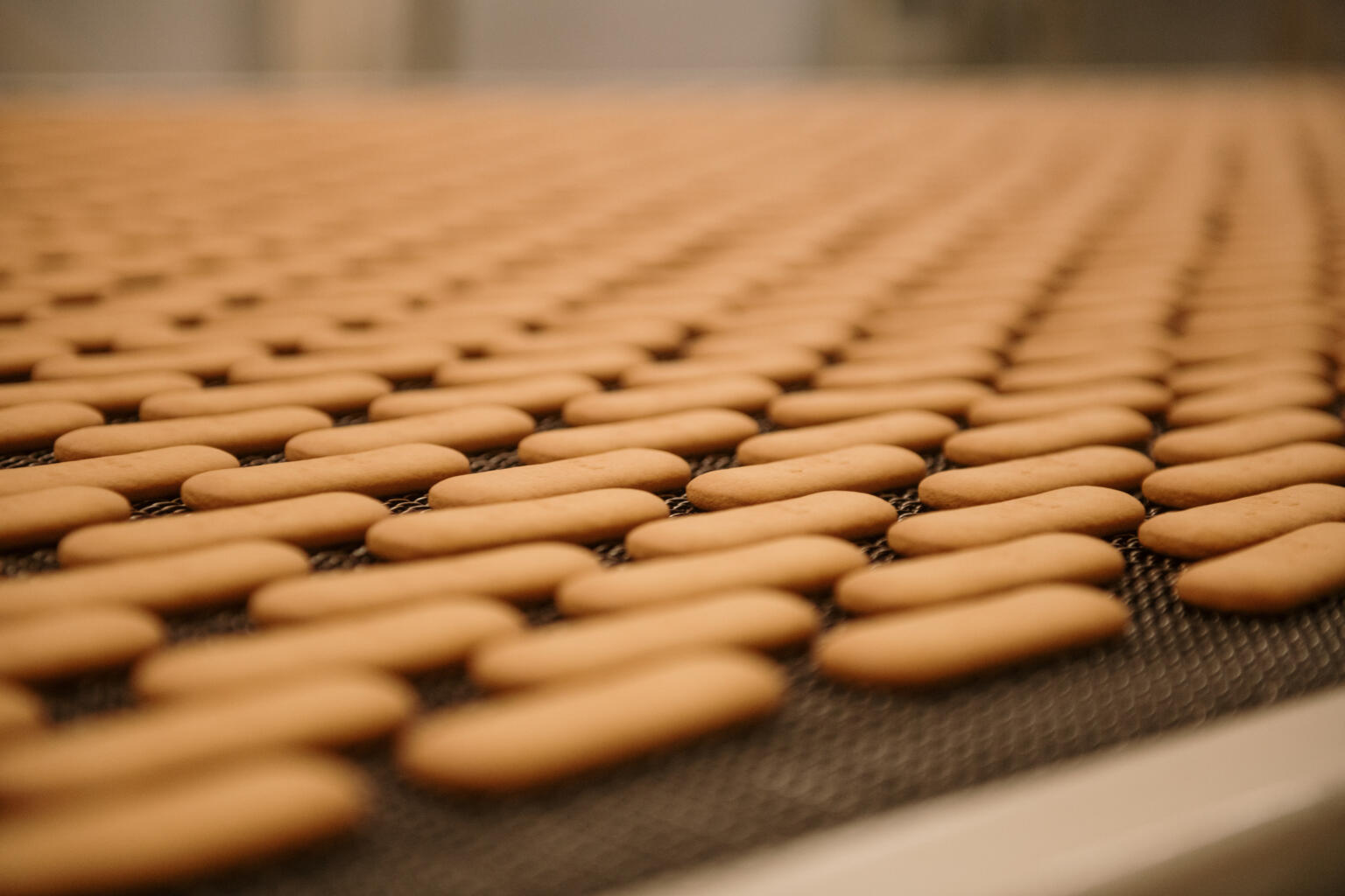 Platforma Ananas stigla i u BiH - Privrednik